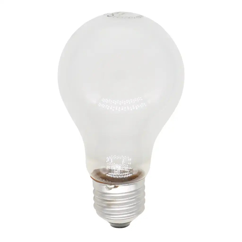 Osram GLS Incandescent Light Bulb E27 230V 100W Frosted – Double Bay ...