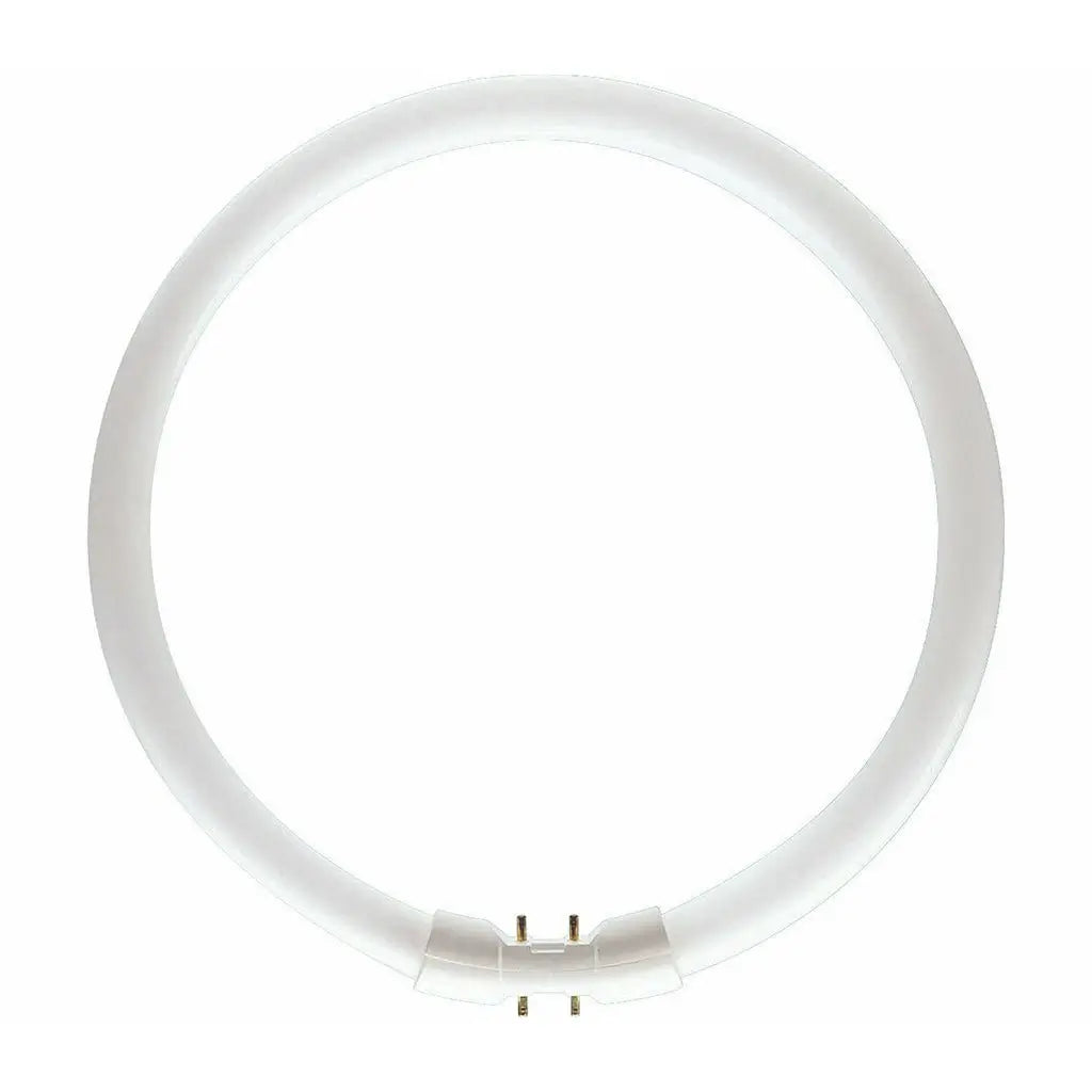 PHILIPS MASTER TL5 Circular Fluorescent 2GX13 22W/840 225mm – Double ...